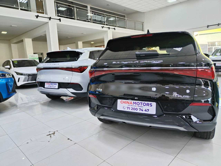 BYD YUAN SONG qira 2024