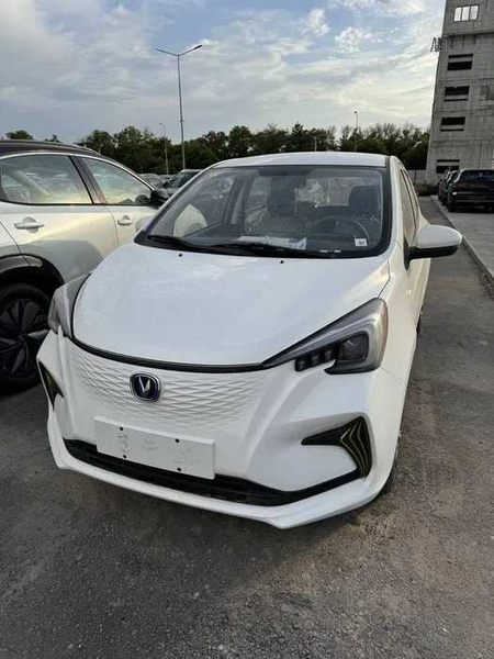 Changan Ben Ben E-Star  301 km