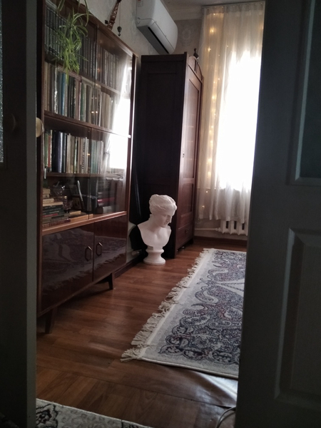 Гипсовый бюст Венеры