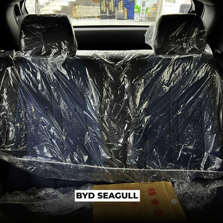 BYD Seagull 2024 Full