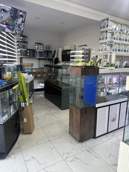 Akvarium magazin Assartiment