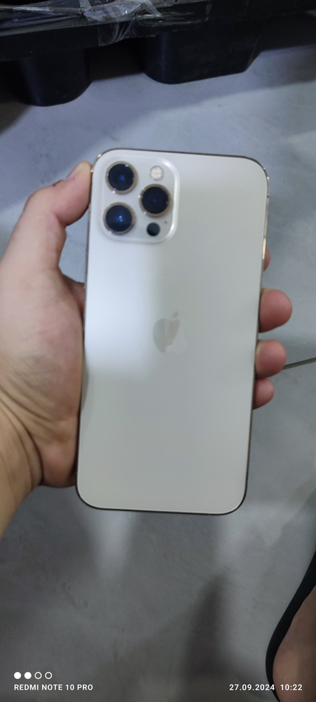iPhone 12 pro max 256 LLA