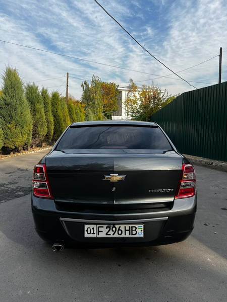 Cobalt Ltz  2019