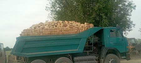 Кирпич жони  Pishgan ĝishr1250sõm