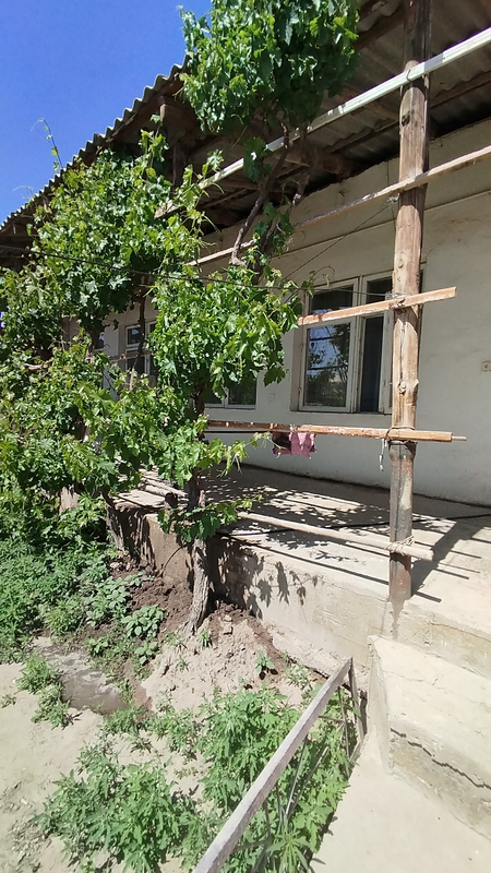 Нокис каласы центирдан жай сатылады.