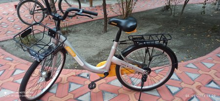Obike velosiped      26