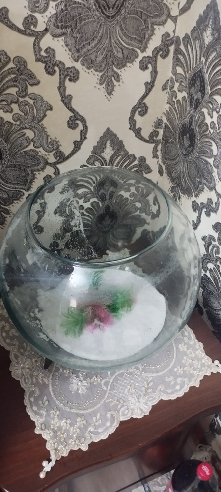 Orginal akvarium srochna sotiladi
