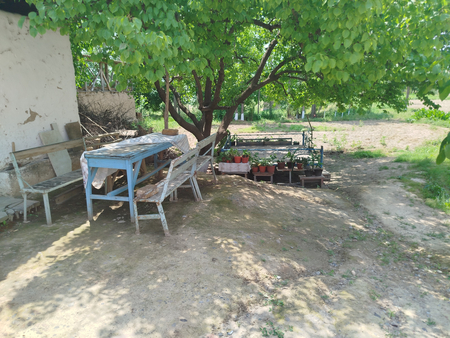 Uchastka yol yuzida