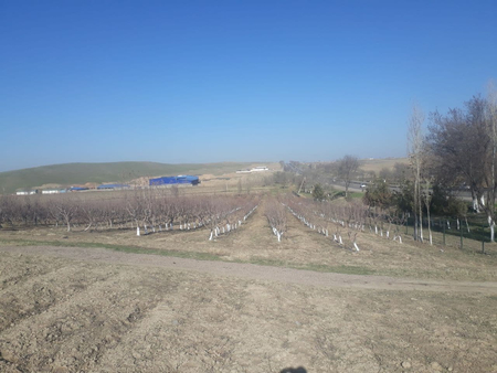Земля 3 гектаров