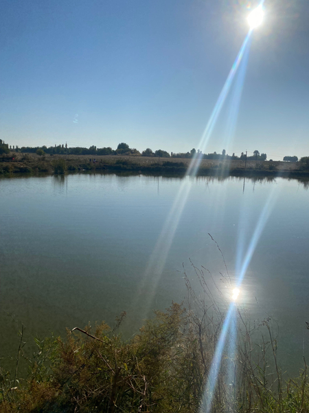 Рыбалка, проточная вода.