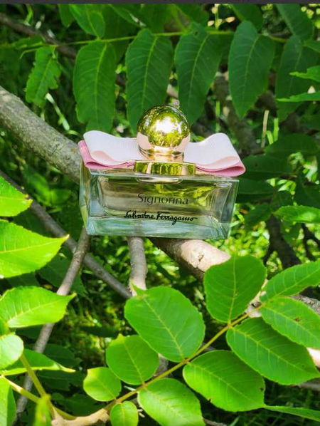 парфюм Signorina Salvatore Ferragamo Италия оригинал