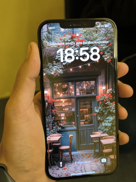 Iphone 12 pro max 256 gb