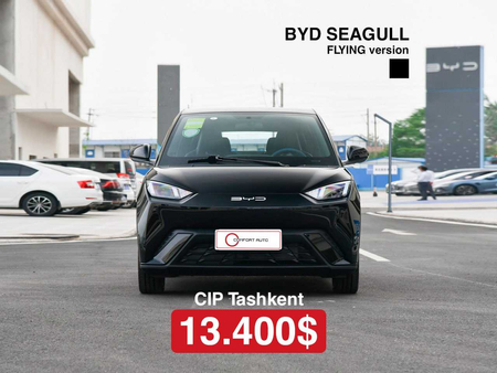 BYD Seagull (Cip Tashektn)