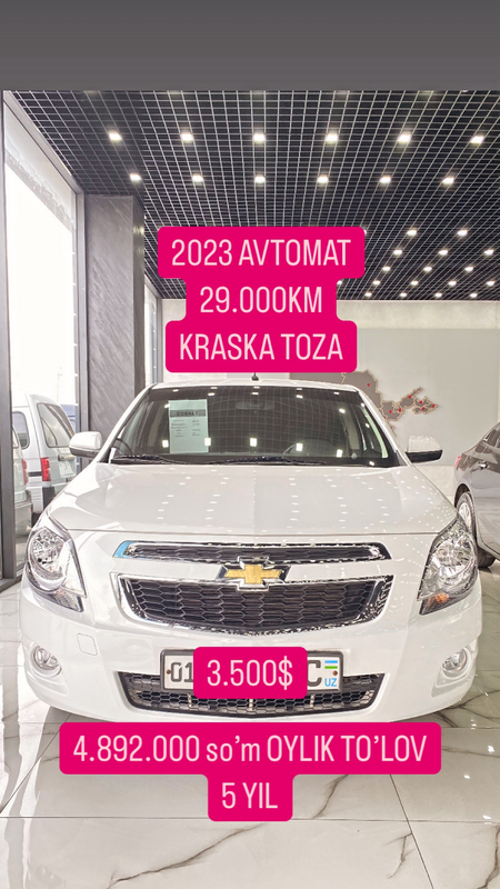 KRASKA Tozza 2023