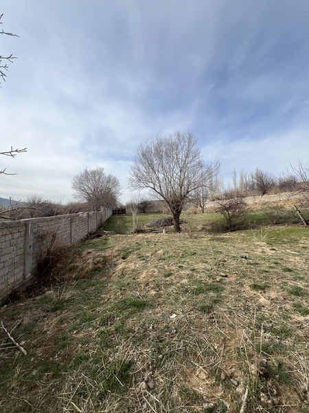 Gazalkentda Dacha uchun yer o’ralgan