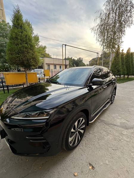 Byd champion 605