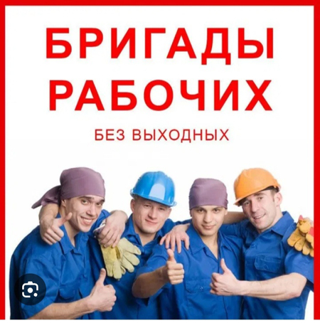Мардикор мужская занитность