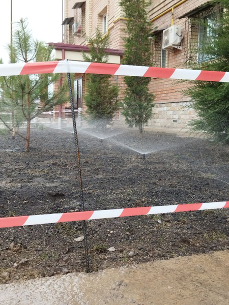 Газон иккиш хизмати мутахасис