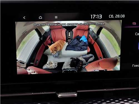 KIA Carnival  comfort yillik 8%