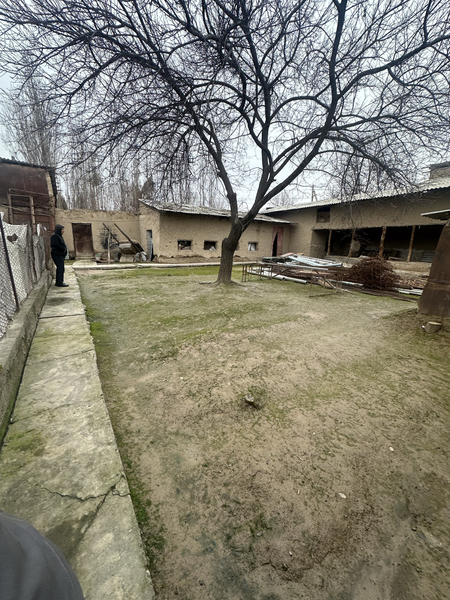 Yer nazarbek tekstil minstr dacha da 4 sotix tayor molxona si bor