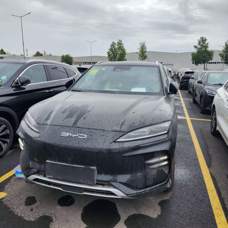 BYD champion Flagship plus