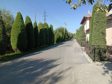 Archa qirqamiz ,  dorilash , lanshaft  , va boshqa xizmatlar bor .