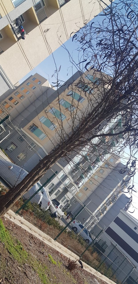 Oq tepa sohil buyida 2 xonali uy ijaraga beriladi