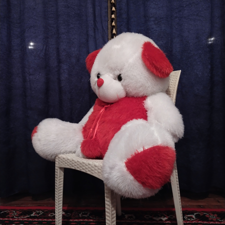 Мягкая.     игрушка