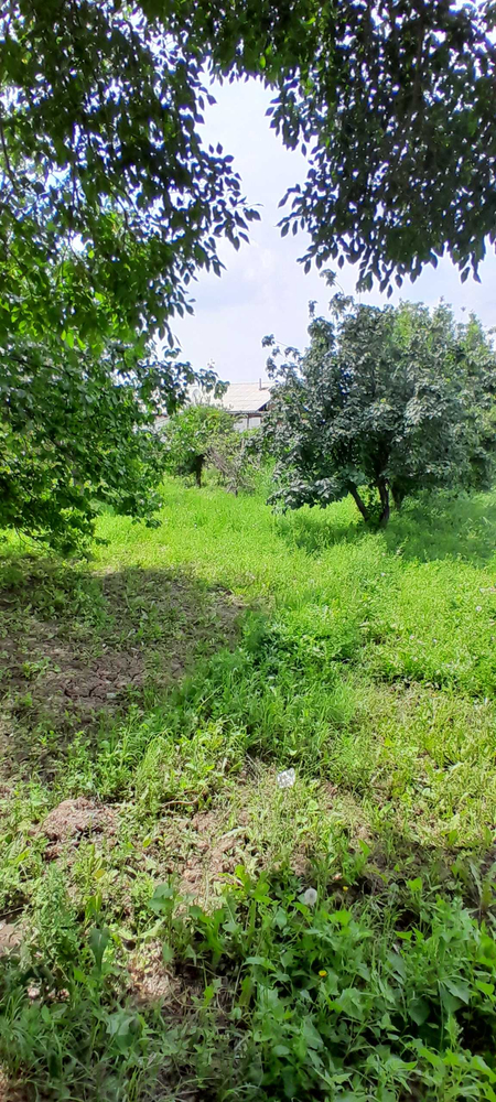 Ferma bòlgan yer sotiladi uy qurish uchun hamma hujjatlari joyida.