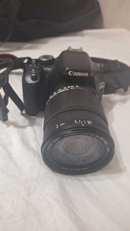 Sigma DC 18-250 mm