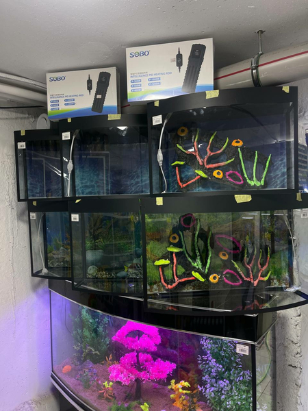 Akvarium va Baliqlar bor