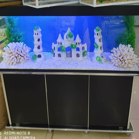 Akvarium zakaz olamiza