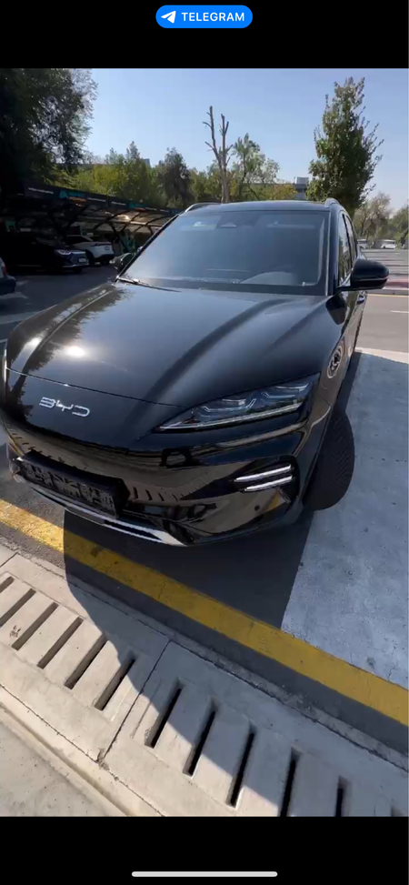 BYD chempion 2023