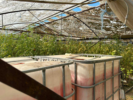 Сдается в аренду теплица Янги Йул 243 соток / Ijaraga Teplica beriladi