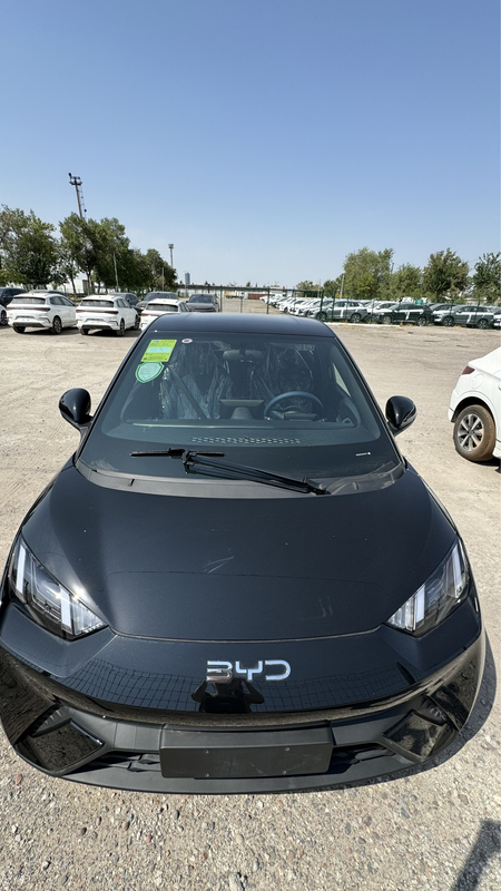 Byd Seagull Black