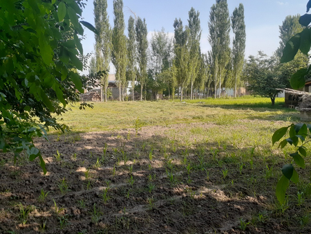 Участок! 12 соток.