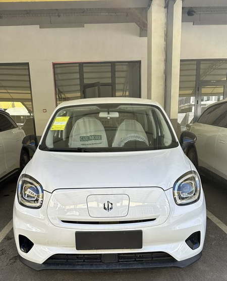 11.350$ LEAPMOTOR T03 401 km