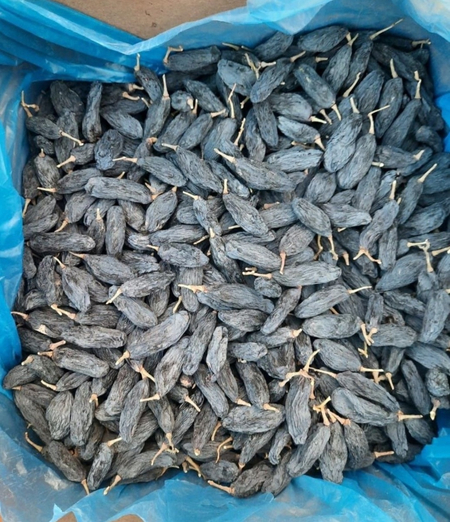 Optom narxlarda mayizlar