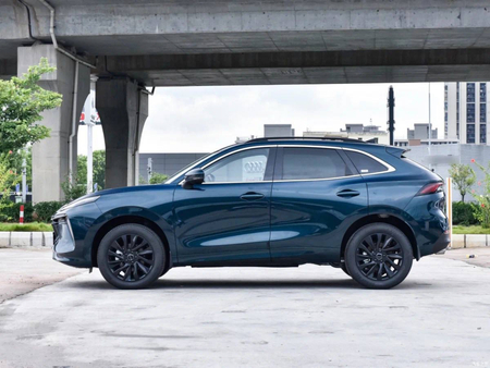 DONGFENG T5 EVO под заказ