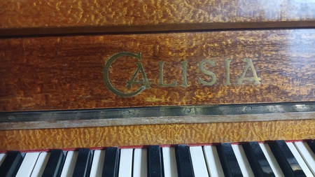 Calisia  pianino