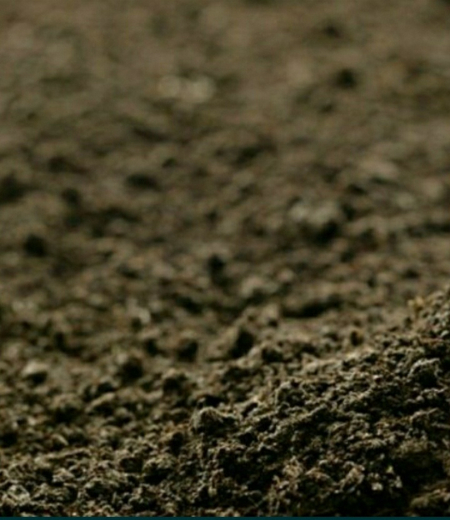 Biogums arzon narxlarda sotiladi