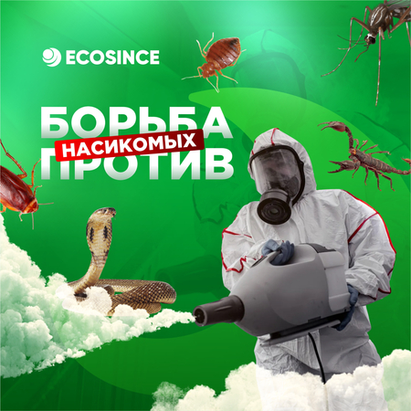 Дезинфекция в Ташкенте