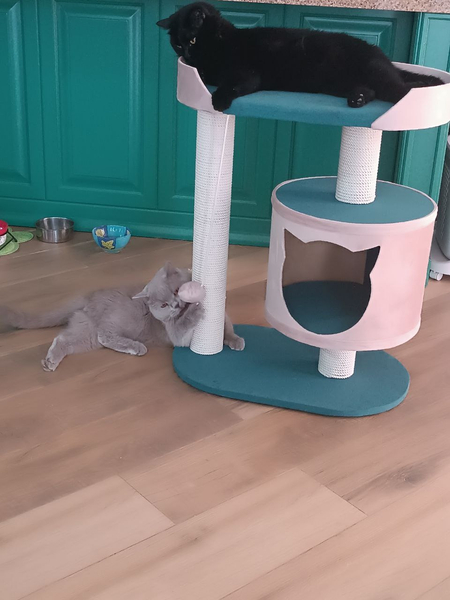 Домик для кошек...
