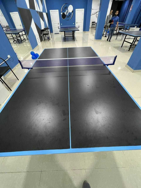 августа 2024 г.
Stol tennis настольный теннис