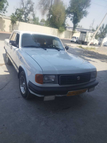 Волга, газ 31029