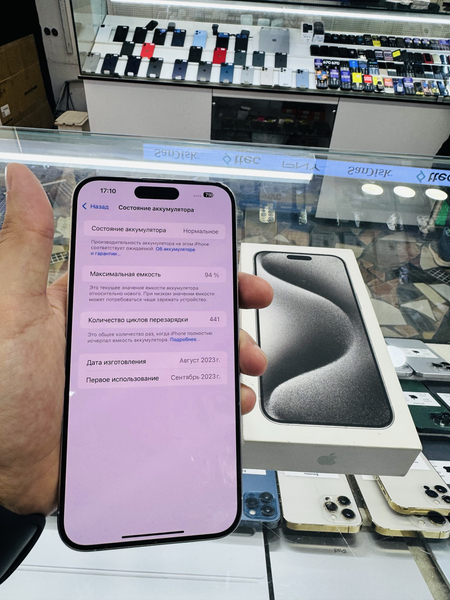 iPhone 15 Pro Max 256 gb silver