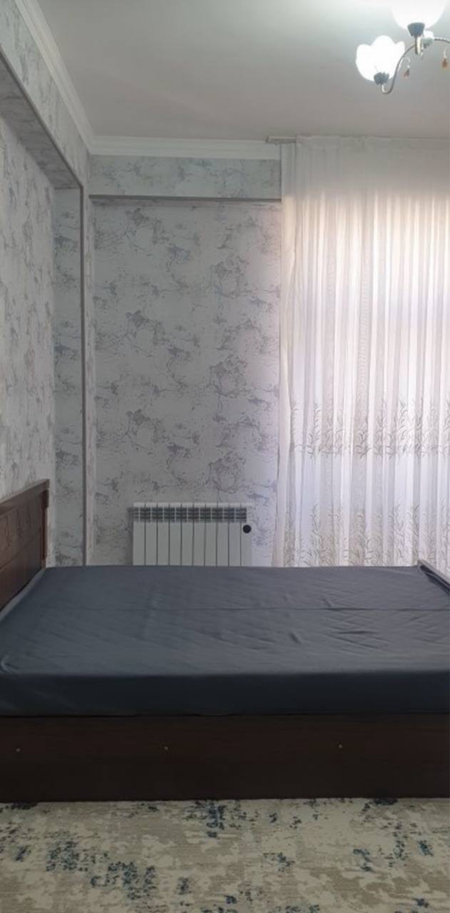 Сергили 2/9/13 500$