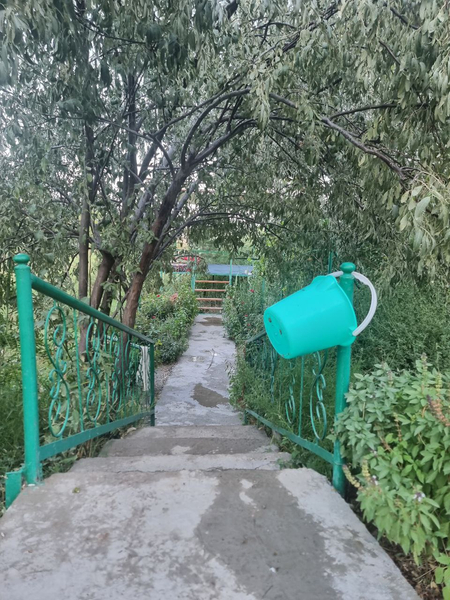 Сотилади молхона