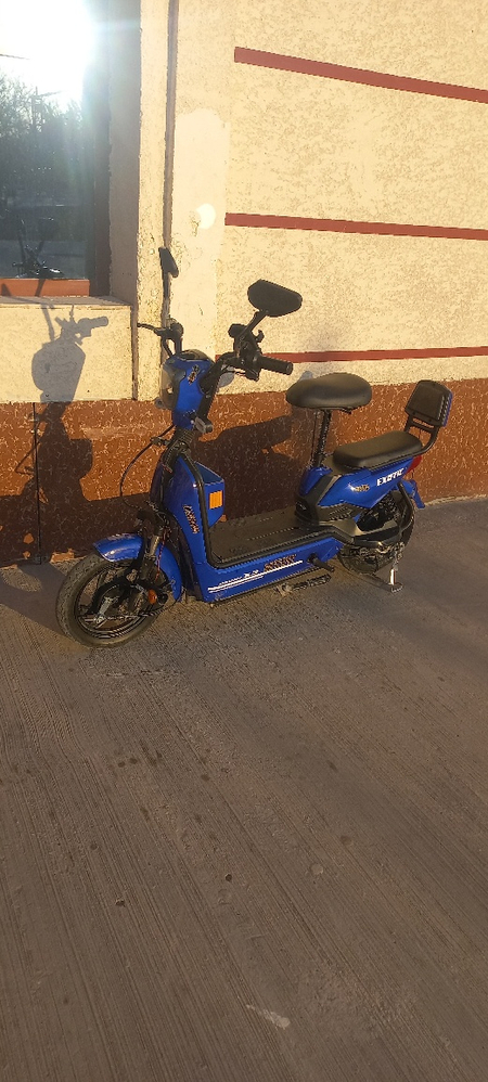Satiladi kelisimli baqada