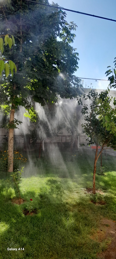 Микроклимат ва сетка
